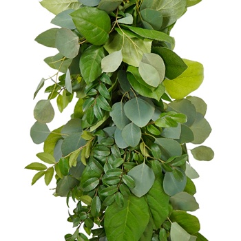 Green Huckleberry, Silver Eucalyptus and Salal Greens Garlan