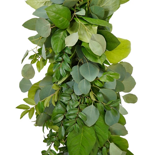 Green Huckleberry, Silver Eucalyptus and Salal Greens Garlan